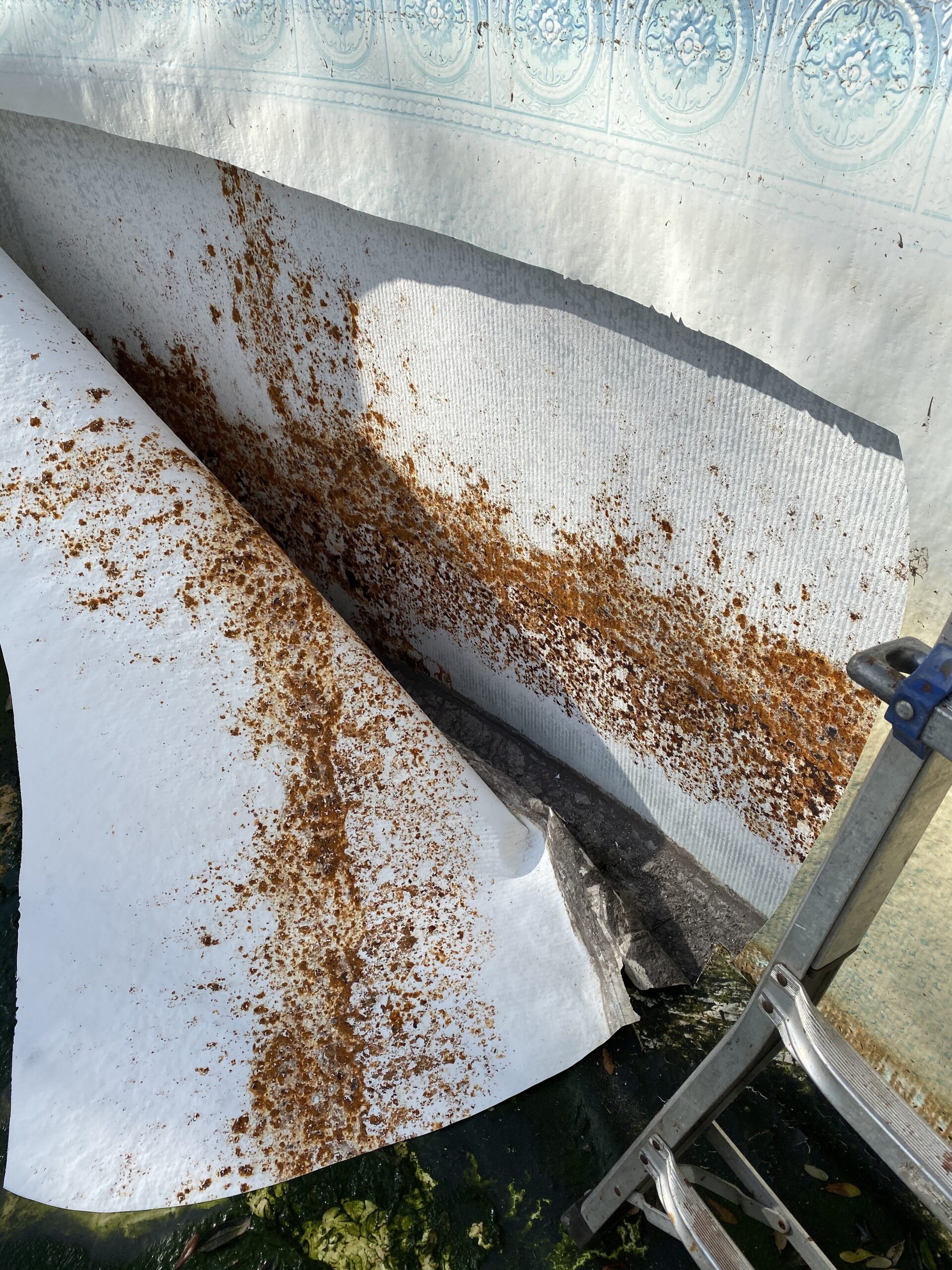 There is Rust on My Above Ground Pool in Orlando – Central Florida ...